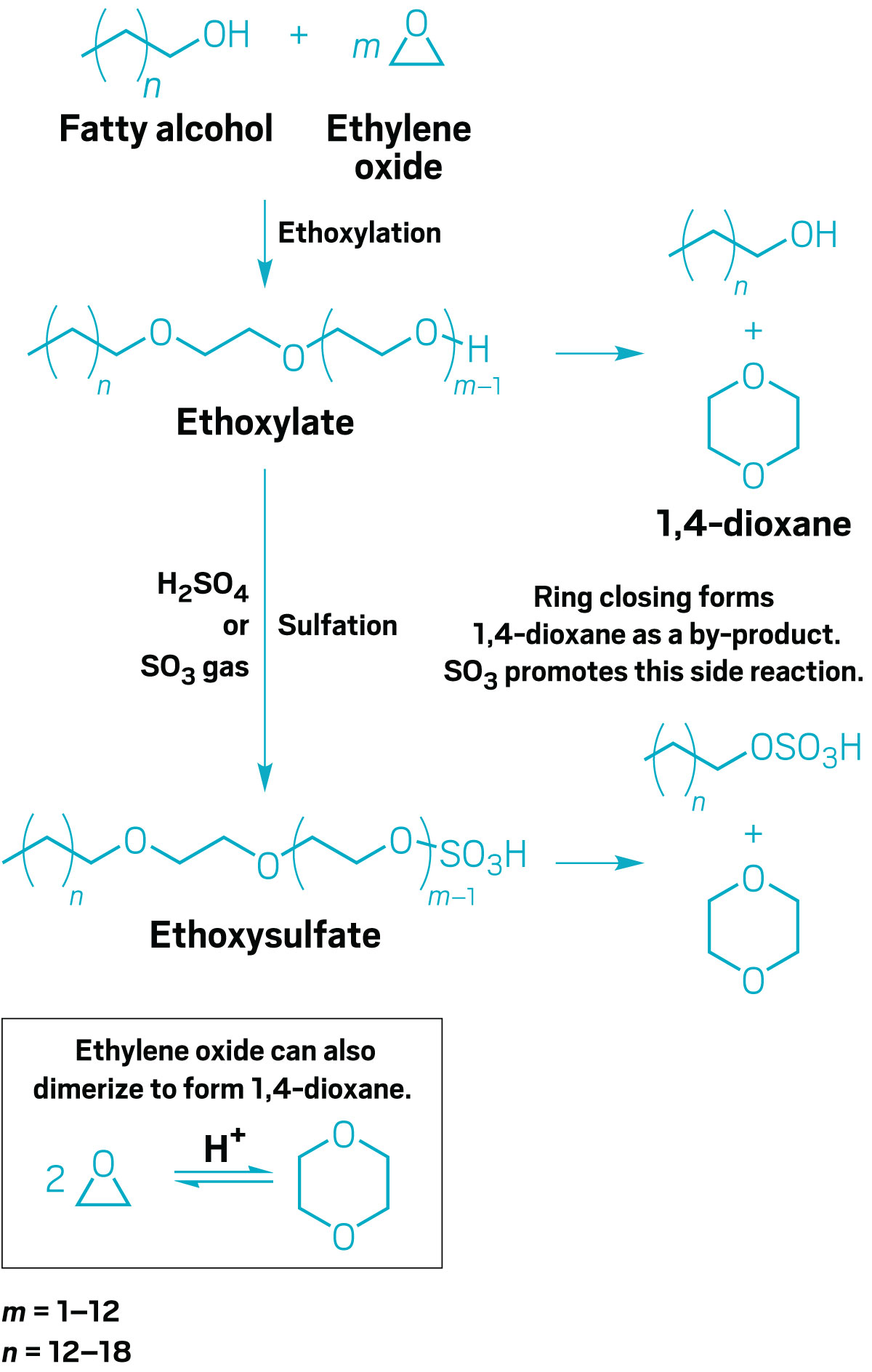 SDS: Bubble baths, toothpaste, and imaging the brain – Tillaux's Thoughts